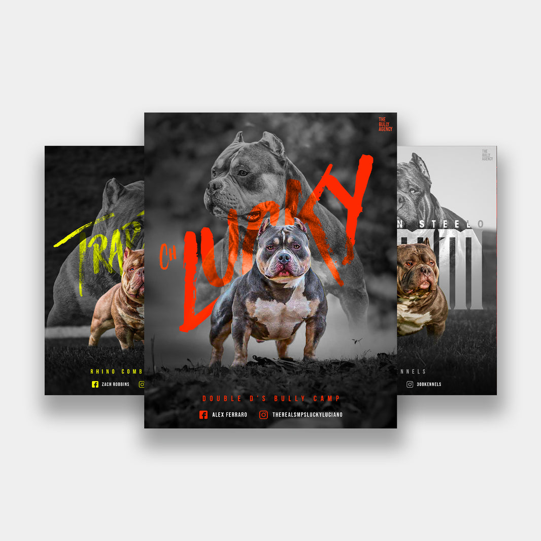 Custom graphics and apparel for bully breeders and kennels – The Bully ...